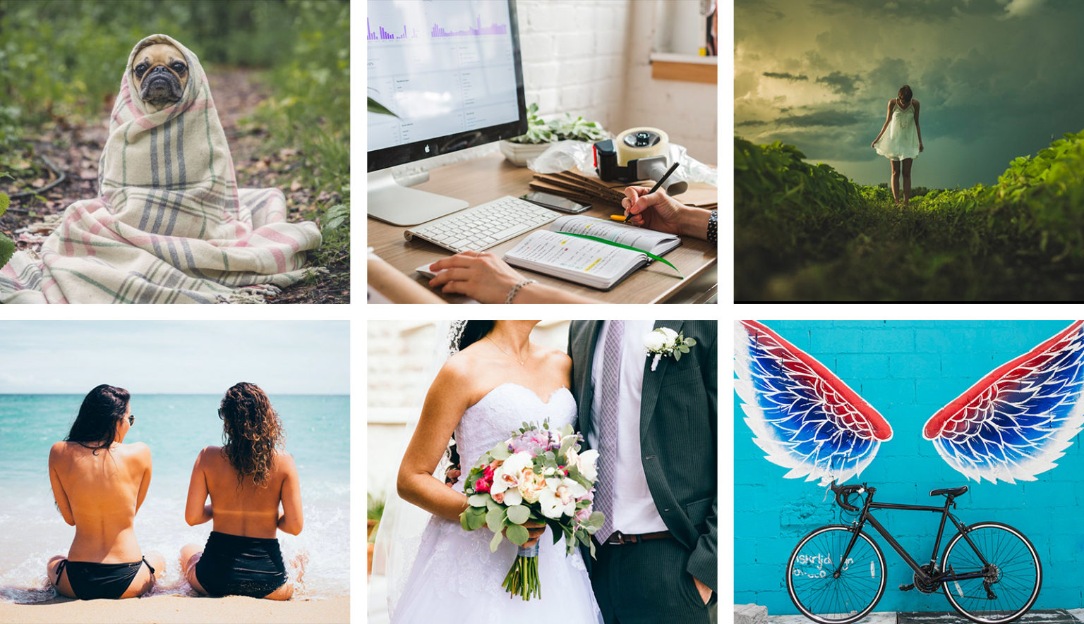 Kostenfreie Bilder – 60 Webseiten mit kostenfreien Fotos.